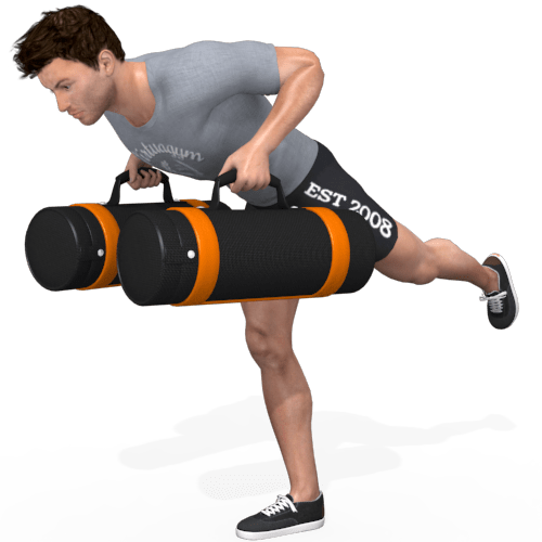 Sandbag Bent-over Row One Leg Suitcase Grip Video Exercise Guide