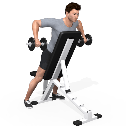Dumbbells Incline Forward Lean Row Video Exercise Guide