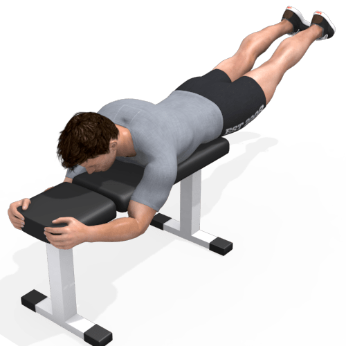 Bench Reverse Leg Raise Prone Position Video Exercise Guide