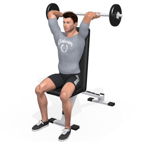 Barbell Triceps Extension Seated Video Exercise Guide