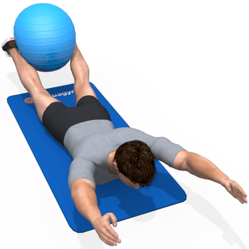 Exercise Ball Superman Video Exercise Guide