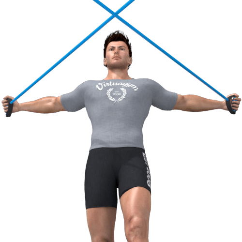 Elastics Reverse Fly Video Exercise Guide