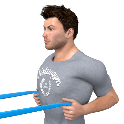 Elastics Row Arms Next To Body Stand Video Exercise Guide