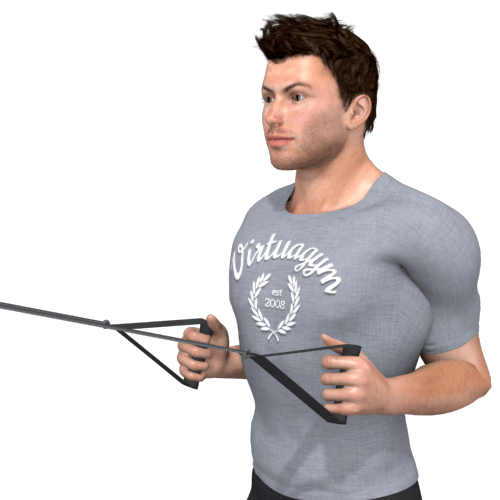 Pulley High Row Standing Video Exercise Guide