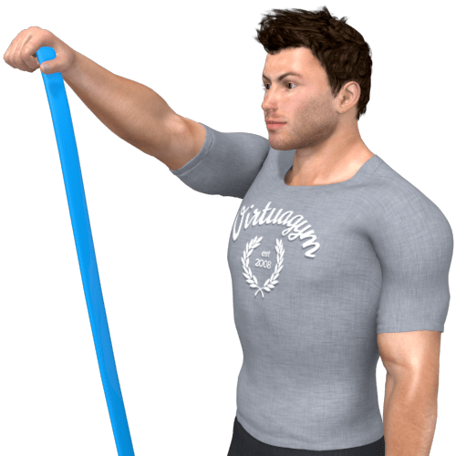Elastics Front Raise (alternating) Video Exercise Guide