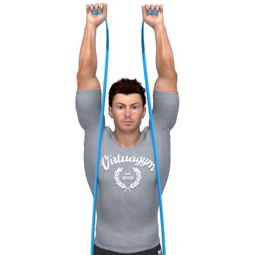 Elastics Shoulder Press Video Exercise Guide