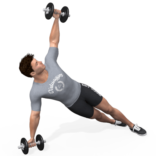 Dumbbells Plank Rotation Video Exercise Guide