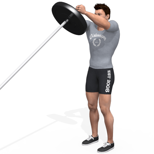 Landmine Shake Overhead Video Exercise Guide