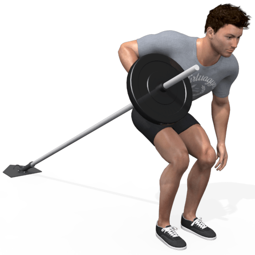Landmine Bent-over Row Backward Video Exercise Guide
