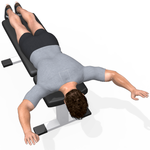 Bench Reverse Fly High Lying Video Exercise Guide