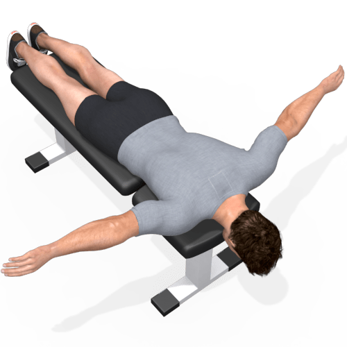 Bench Reverse Fly Lying Video Exercise Guide