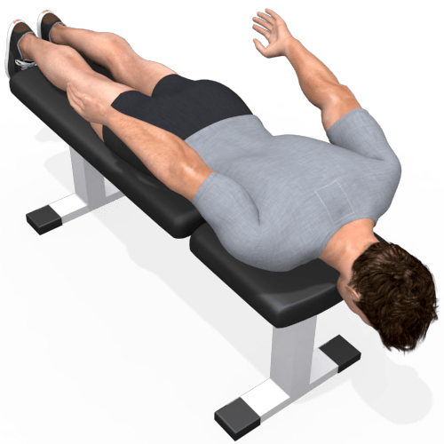 Bench Reverse Fly Low Lying Video Exercise Guide