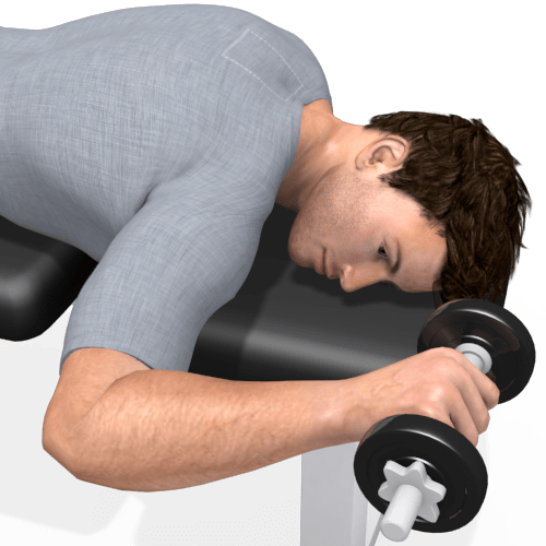 Dumbbells Arm Exorotation Prone Video Exercise Guide