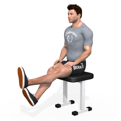 Bench Knee Extension Seated Assisted Video Exercise Guide