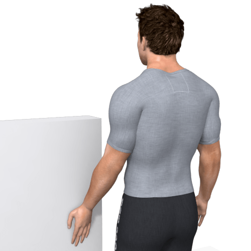 Wall Isometric Anteflexion Shoulder Video Exercise Guide