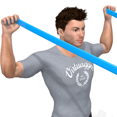 Elastics Horizontal Row Exorotation Video Exercise Guide