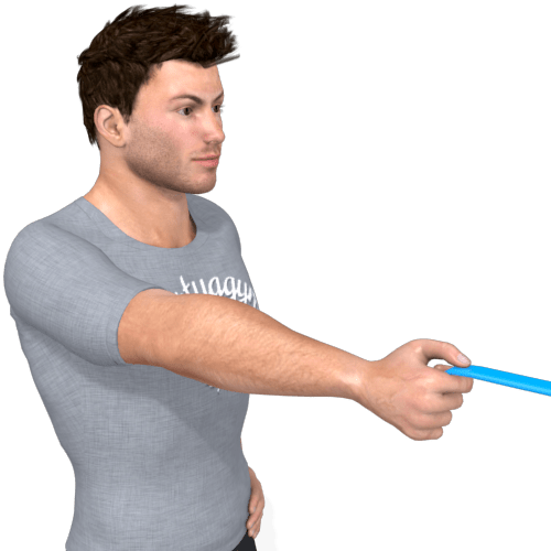 Elastics Serratus Row Video Exercise Guide
