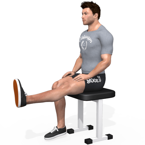 Bench Knee Extension Seated Video Exercise Guide