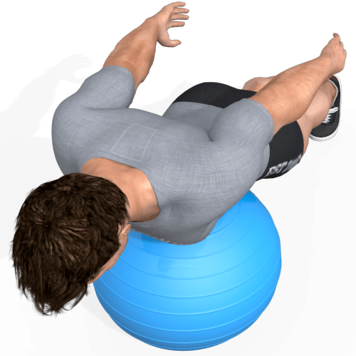 Exercise Ball Retroflexion Shoulders Video Exercise Guide
