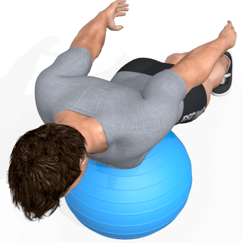 Exercise Ball Retroflexion Shoulders Static Video Exercise Guide