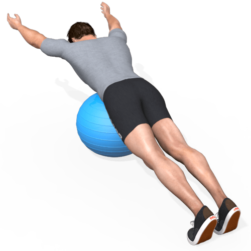 Exercise Ball Anteflexion Shoulders Static Video Exercise Guide