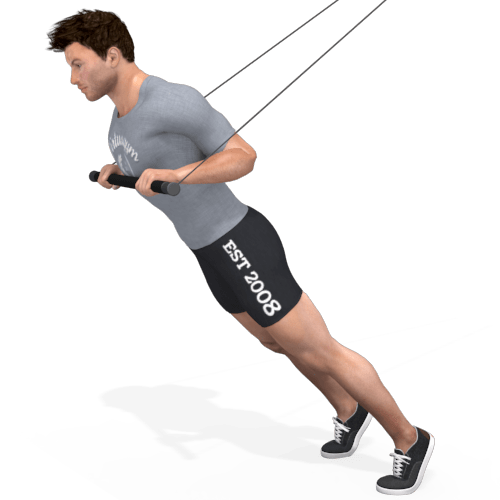 Suspension Trainer Chest Press Video Exercise Guide