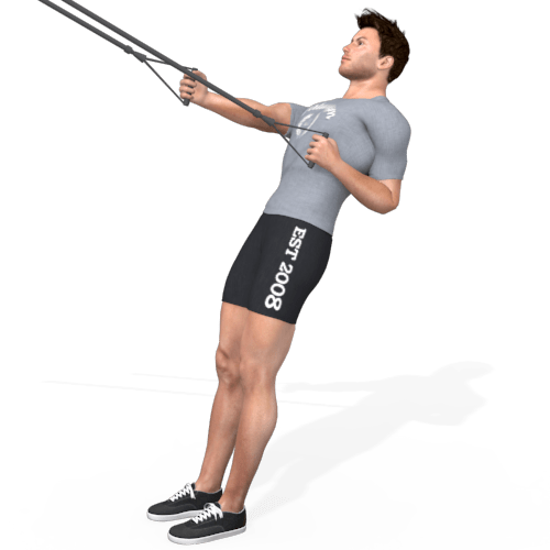 Suspension Trainer Row Video Exercise Guide
