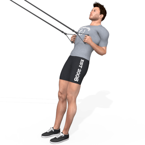 Suspension Trainer Row Isometric Video Exercise Guide