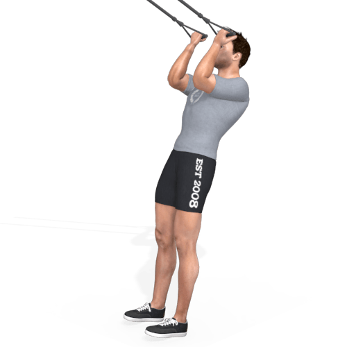 Suspension Trainer Bicep Curl Isometric Video Exercise Guide