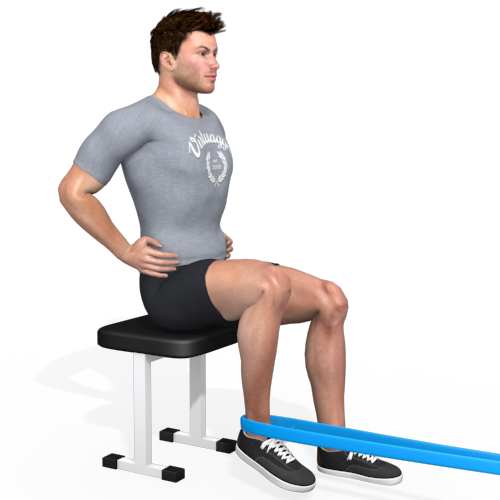 Resistance Band Hamstring Curls Seated Video Exercise Guide Resistance Band Hamstring Curls Seated Video Exercise Guide