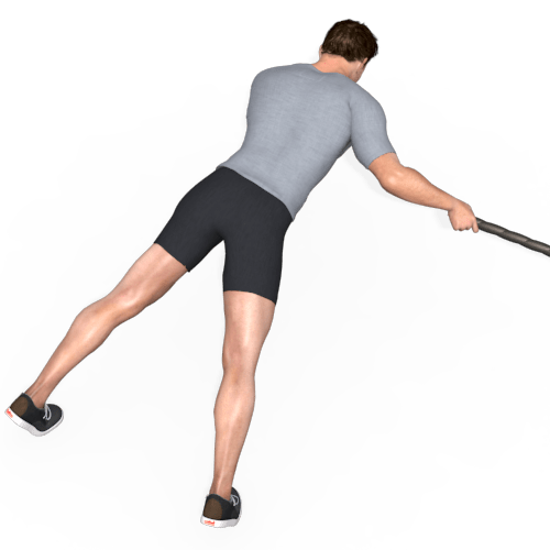 Battle Rope Plank Waves Sidewards Video Exercise Guide