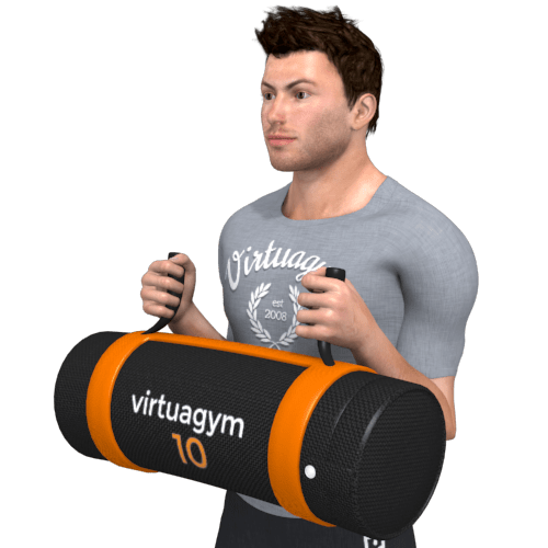 Sandbag Biceps Curl Handles Video Exercise Guide
