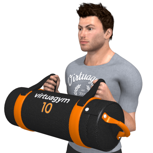 Sandbag Biceps Curl Video Exercise Guide