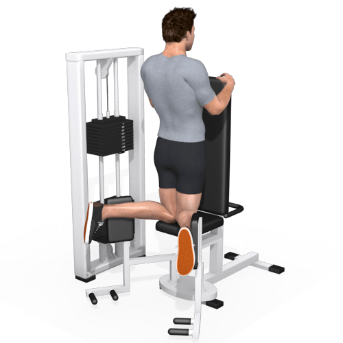 Hip Endorotation Machine Video Exercise Guide