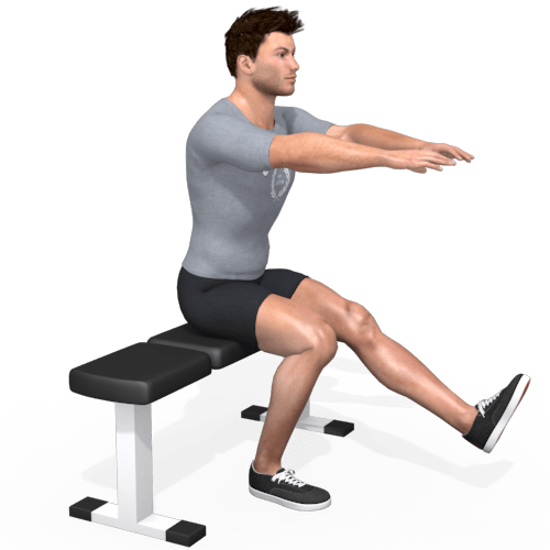 Bench Pistol Squat Video Exercise Guide