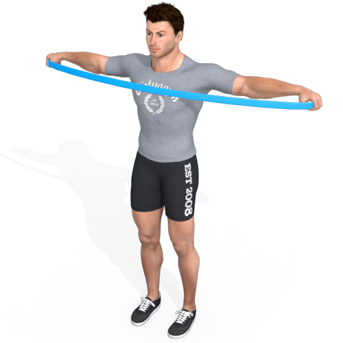 Elastics Reverse Fly Palms Down Video Exercise Guide
