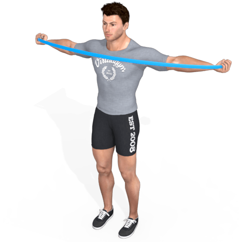 Elastics Reverse Fly Palms Up Video Exercise Guide