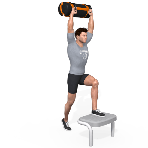 Sandbag Snatch One Leg Hold Step Up Video Exercise Guide