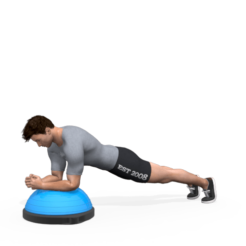 Bosu Plank Video Exercise Guide