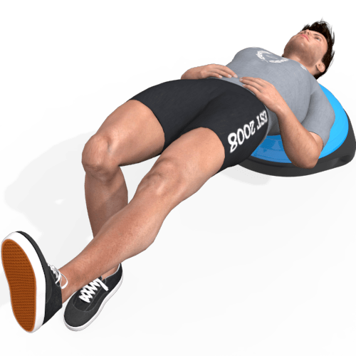 Bosu Hip Bridge Leg Extension Video Exercise Guide