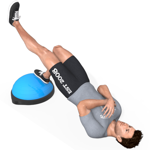 Bosu Hip Bridge Leg Extension Alternating Video Exercise Guide