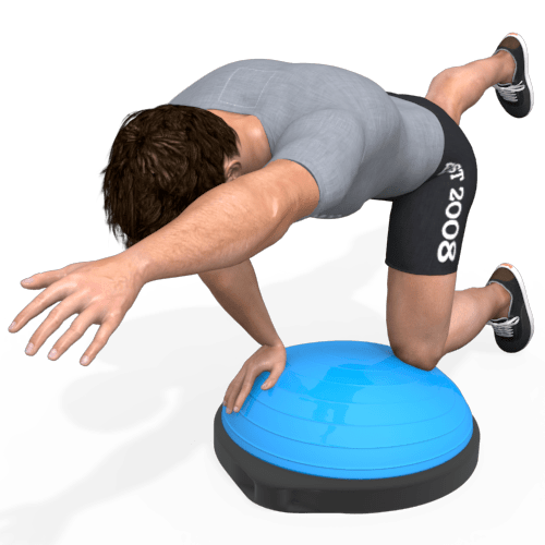 Bosu Bird Dog Cross (alternating) Video Exercise Guide