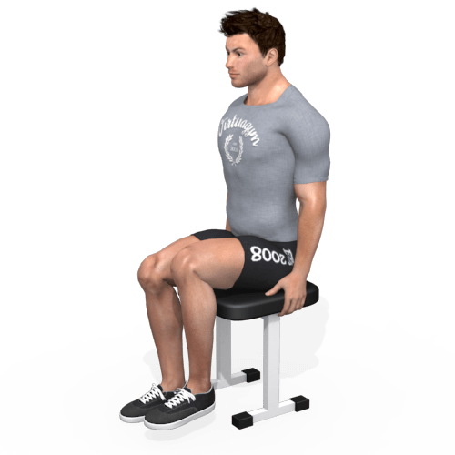 Bench Knee Raises Seated Video Exercise Guide