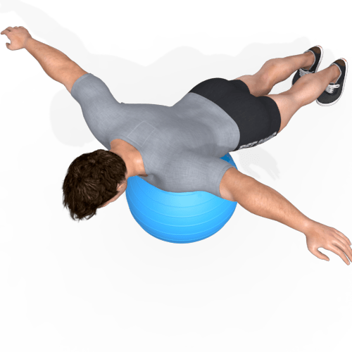 Exercise Ball Reverse Fly Static Video Exercise Guide