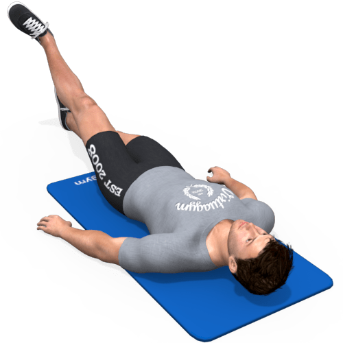 Leg Raise Exorotation Feet (alternating) Video Exercise Guide