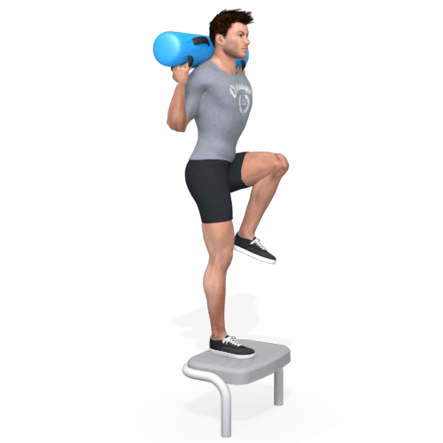 Aerobic Step Step Up High Knee Hold Video Exercise Guide