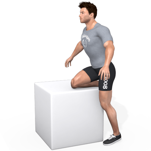 Bench Hip Squat Supported Video Exercise Guide