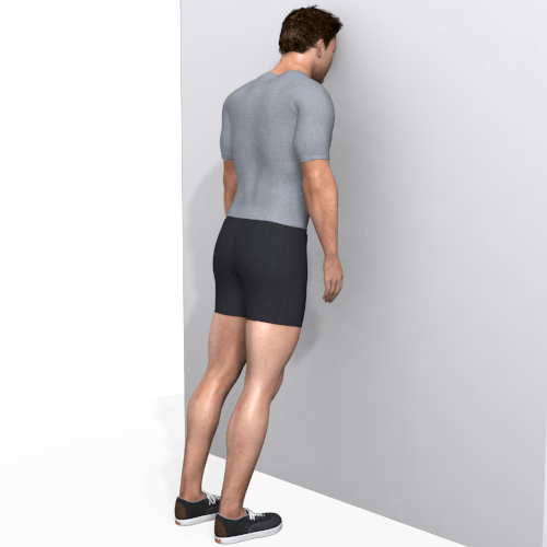 Wall Head Plank Video Exercise Guide