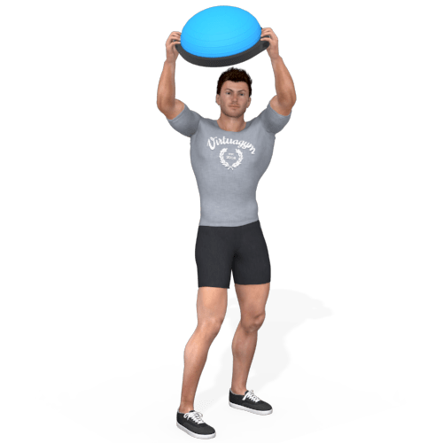 Bosu Wood Chop Video Exercise Guide
