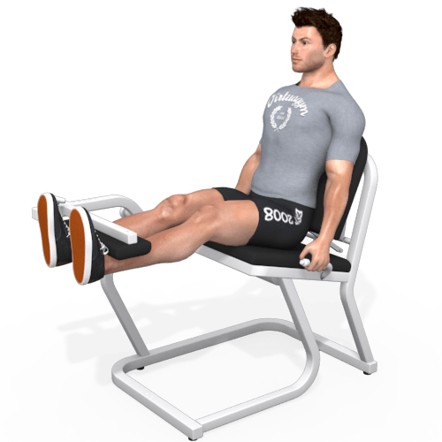 Leg Extension 2 Video Exercise Guide
